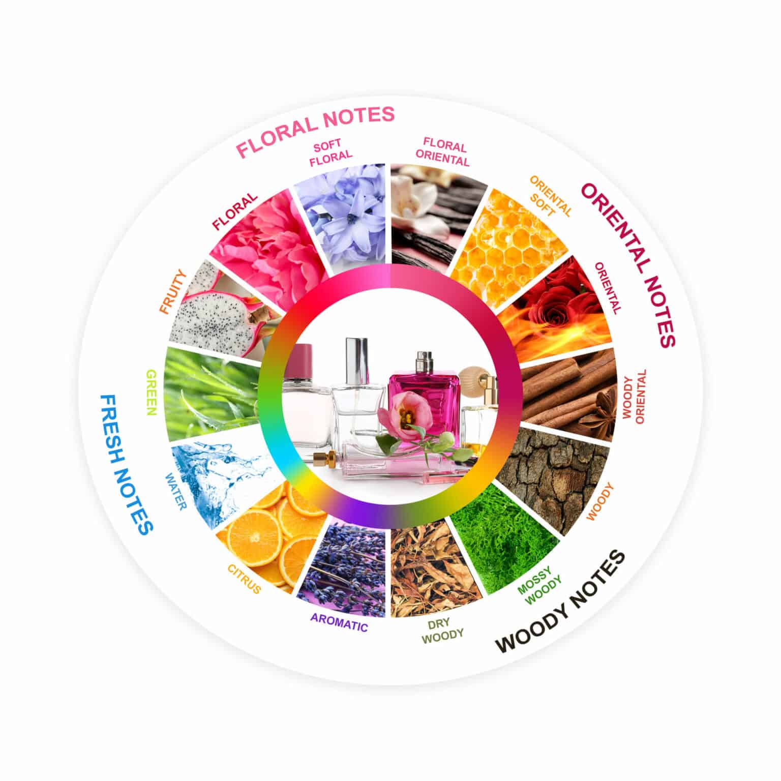 The Fragrance Wheel Demystified: Your Guide to 4 Main Perfume Styles ...